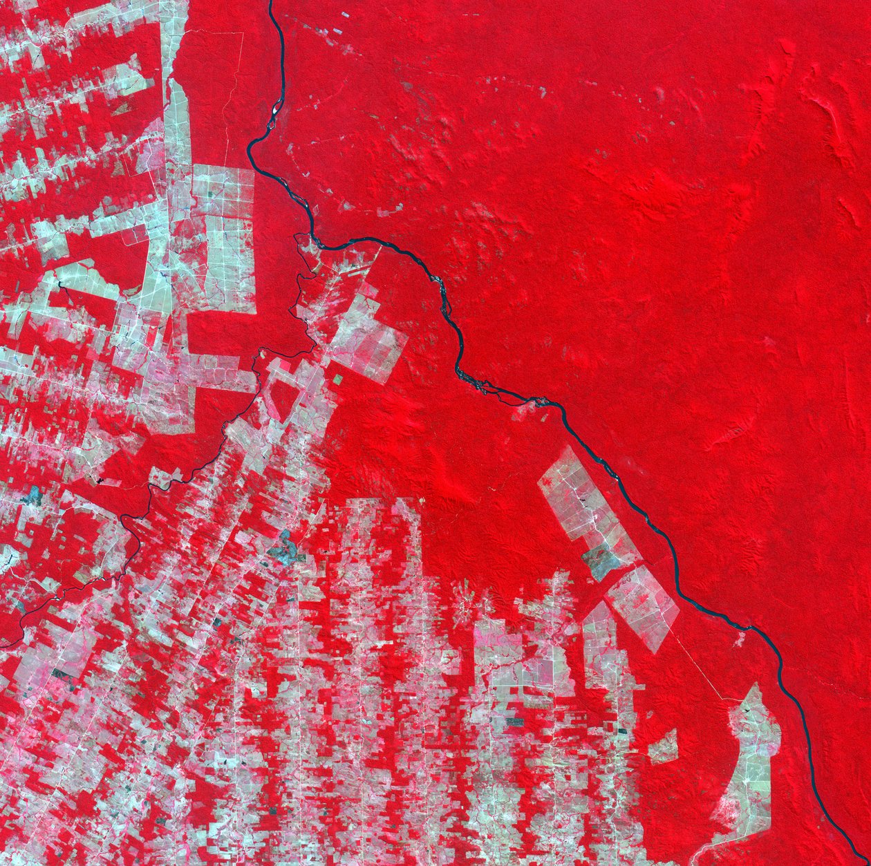 False-color satellite image of deforestation in Rondonia State, Brazil in 2000. Pink and brown ...